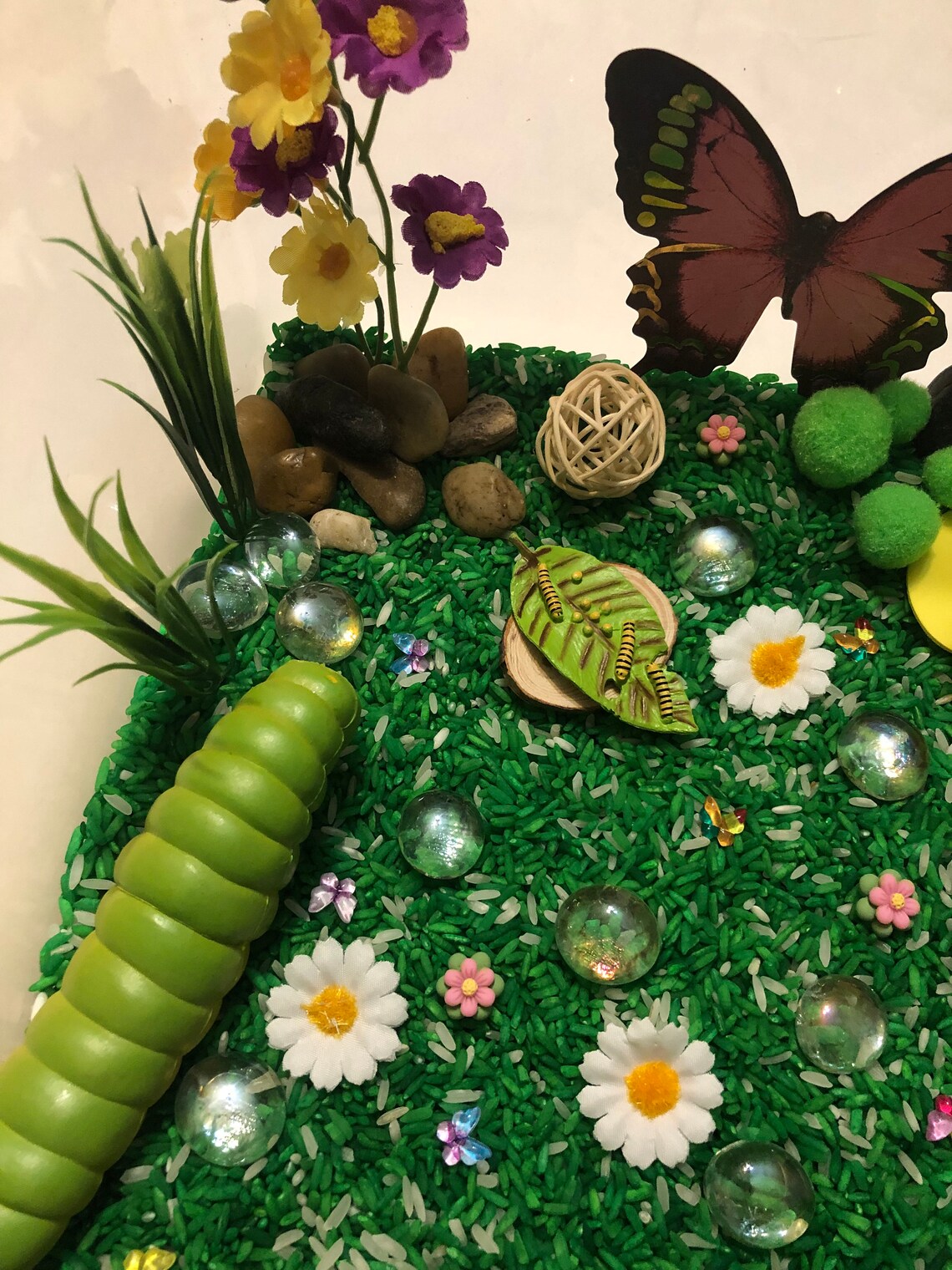 Sensory Kit/sensory Bin/butterfly Life Cycle Sensory Bin/early - Etsy