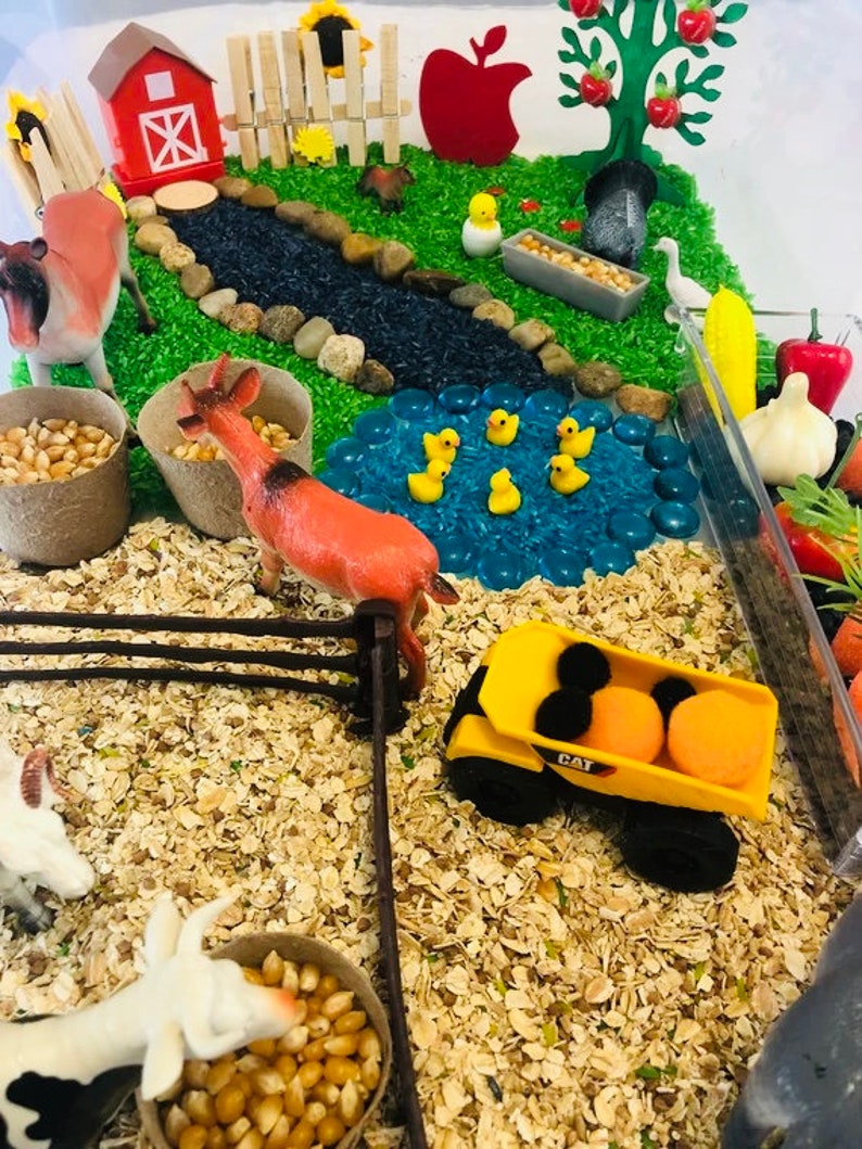 Farm Sensory Bin/farm/montessori/children/animals Sensory/sensory Kit ...