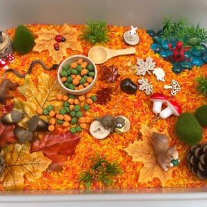 Fall Forest Sensory Bin: Montessori Learning Kit - Etsy