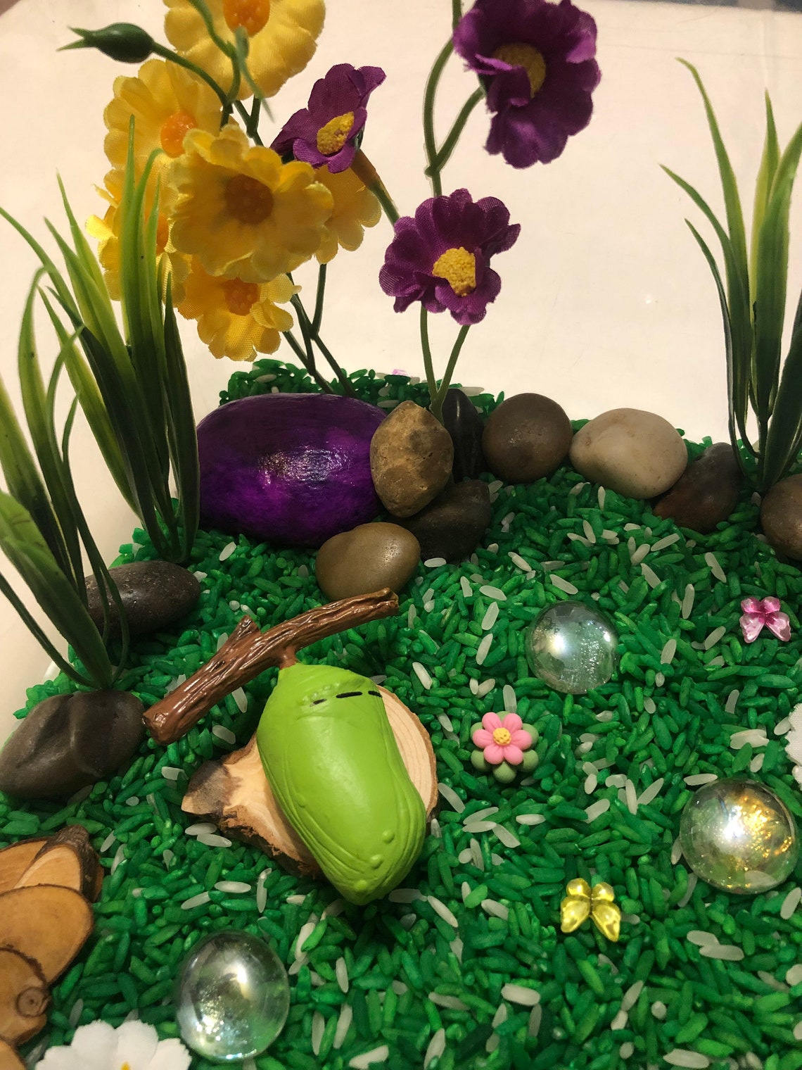 Sensory Kit/sensory Bin/butterfly Life Cycle Sensory Bin/early - Etsy
