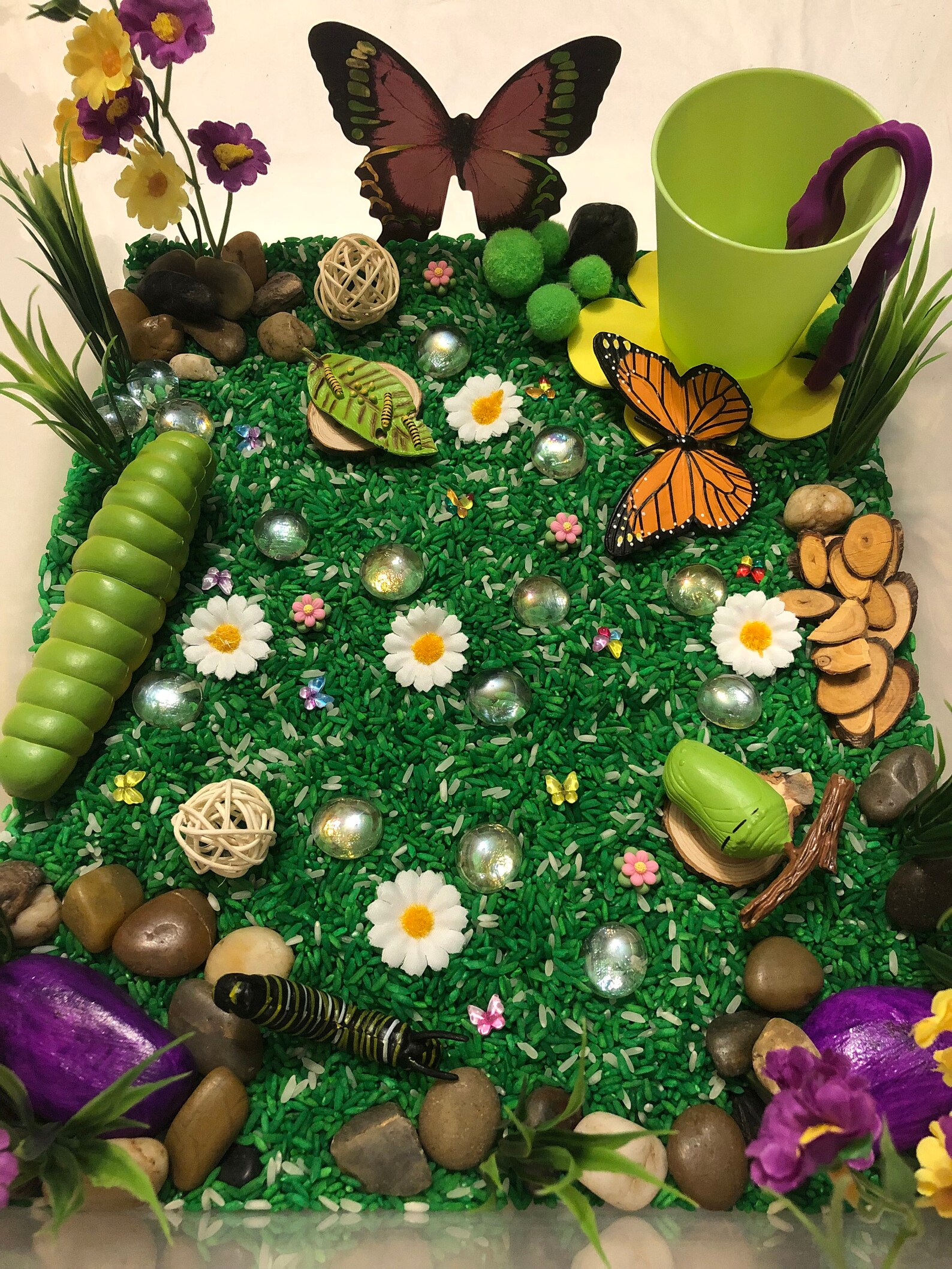 Sensory Kit/sensory Bin/butterfly Life Cycle Sensory Bin/early - Etsy