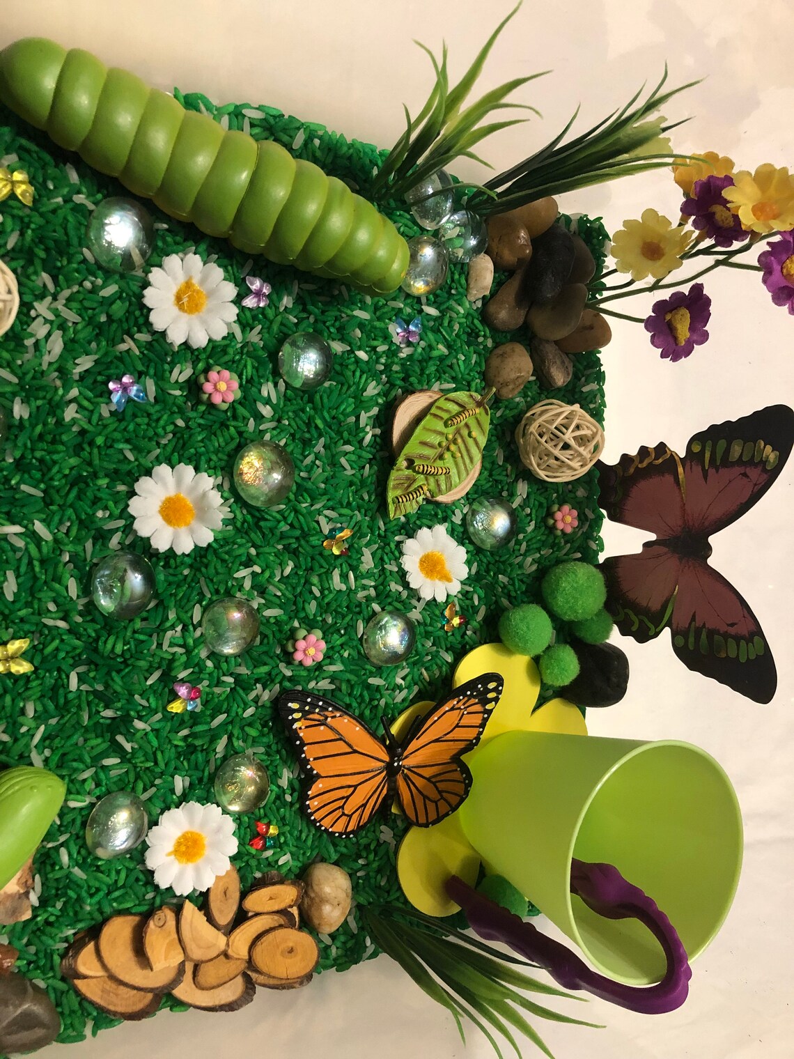 Sensory Kit/sensory Bin/butterfly Life Cycle Sensory Bin/early - Etsy
