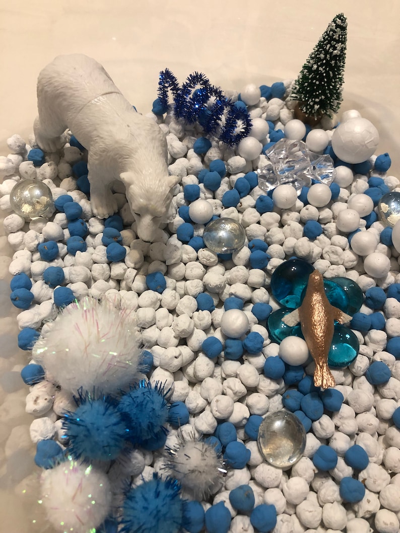 Sensory Kit/sensory Bin/winter Sensory Bin/developmental Toy ...