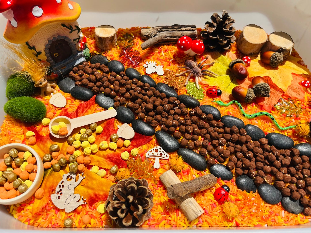 Fall Sensory Bin/forest Sensory Bin/sensory Kit/sensory Bin/sensory ...