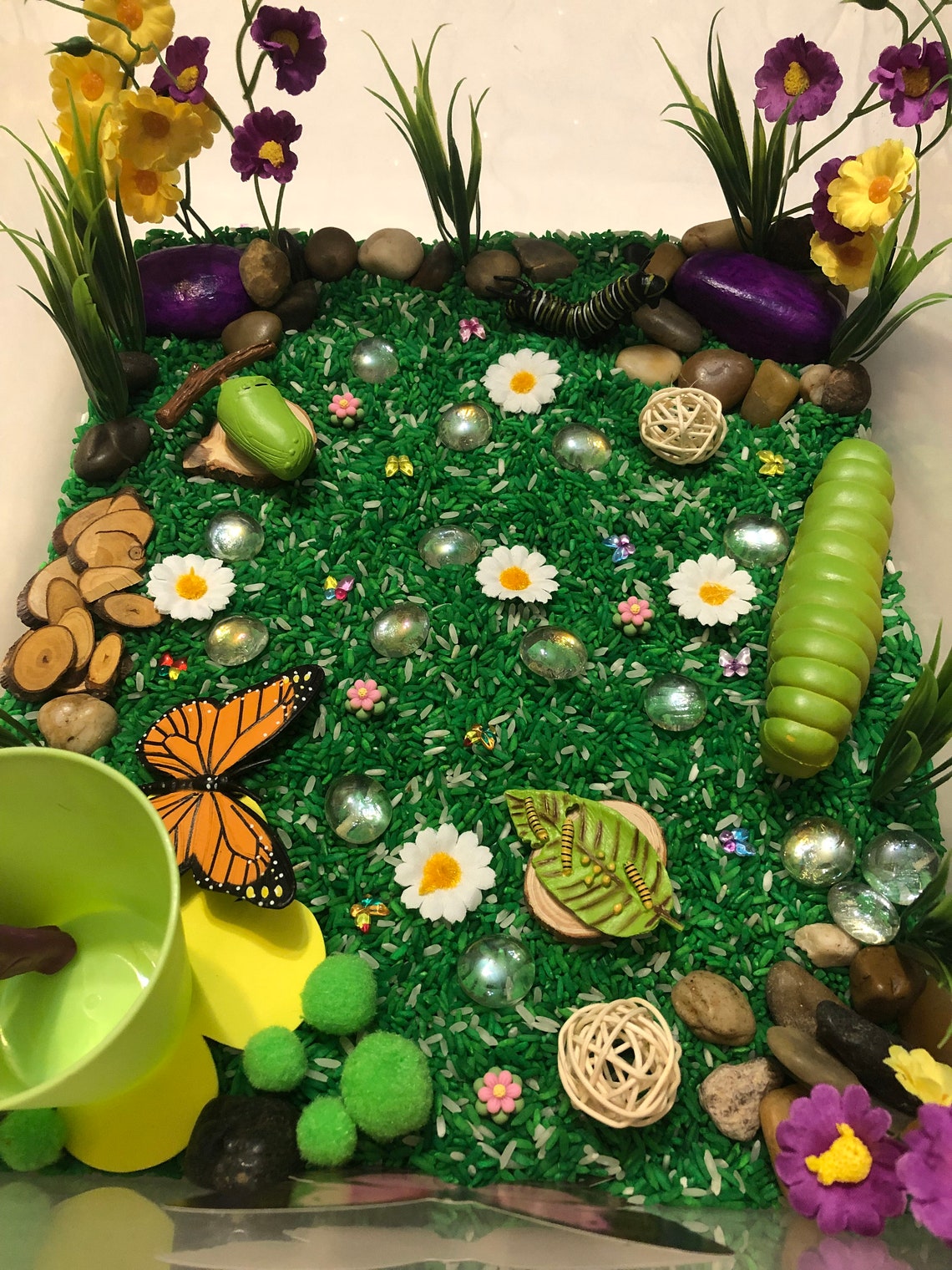 Sensory Kit/sensory Bin/butterfly Life Cycle Sensory Bin/early - Etsy
