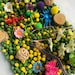 Sensory Kit/spring Sensory Bin/flower Sensory Bin/garden Sensory Bin ...