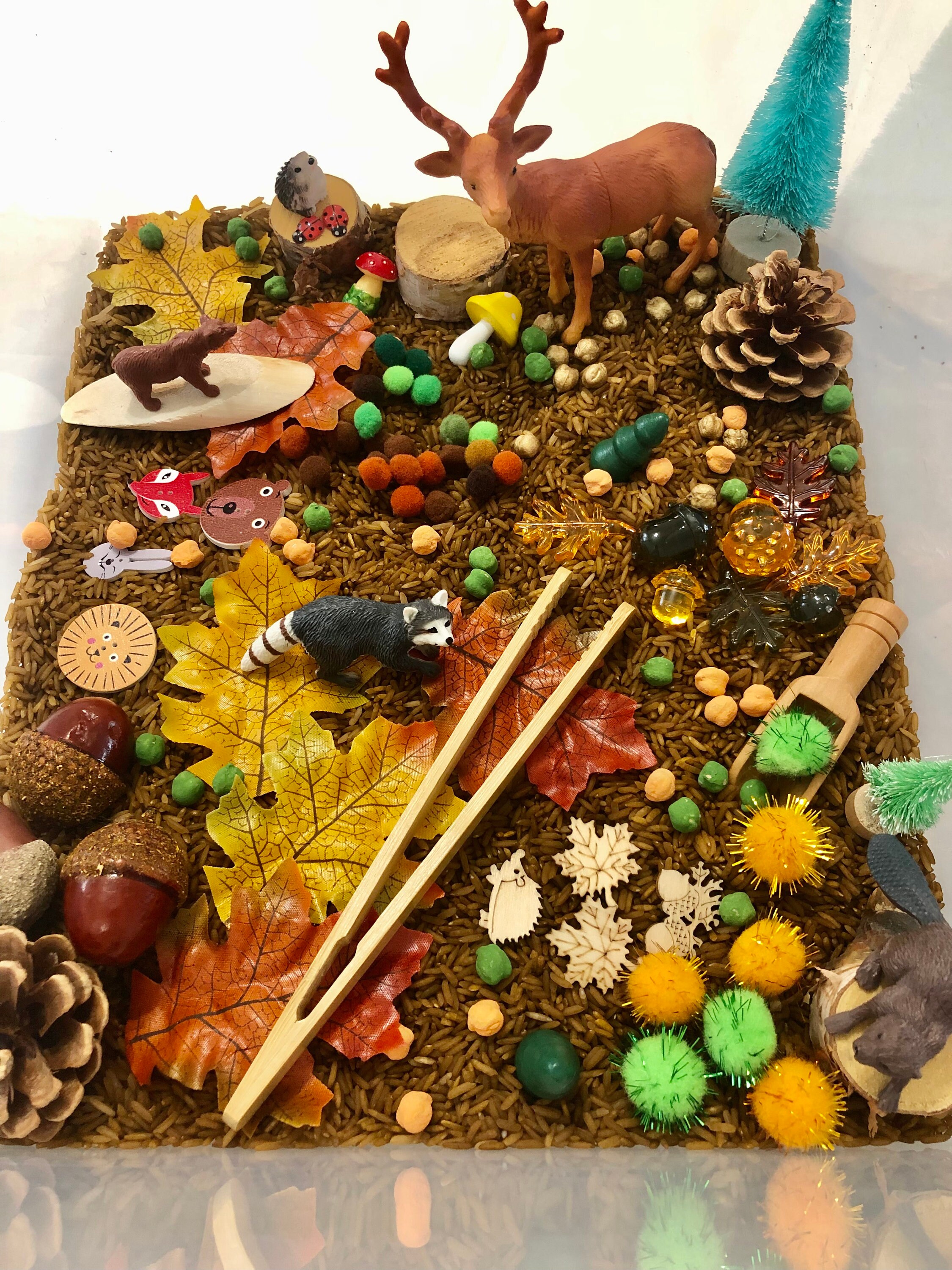 Sensory Kit/fall Sensory Bin/hibernation Animals/forest Animals/sensory ...