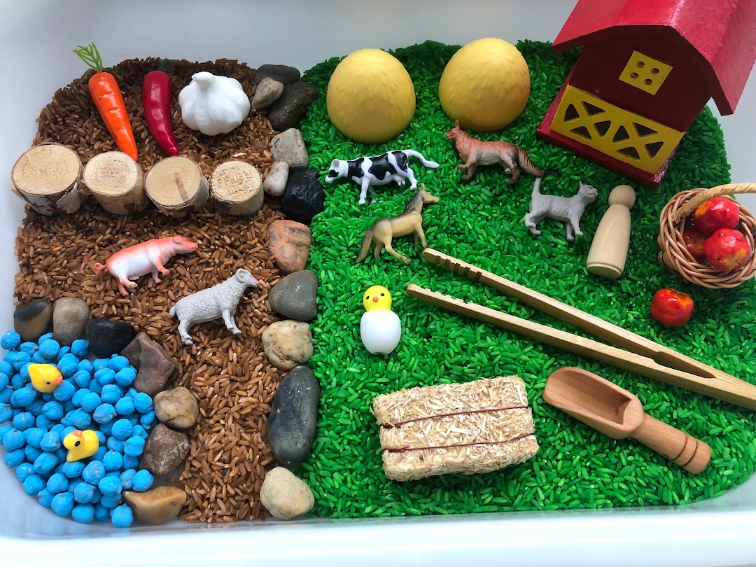 Farm Sensory Bin/farm/montessori/children/animals Sensory/sensory Kit ...