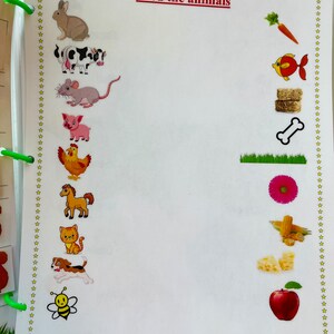 Farm Sensory Bin/farm/montessori/children/animals Sensory/sensory Kit ...