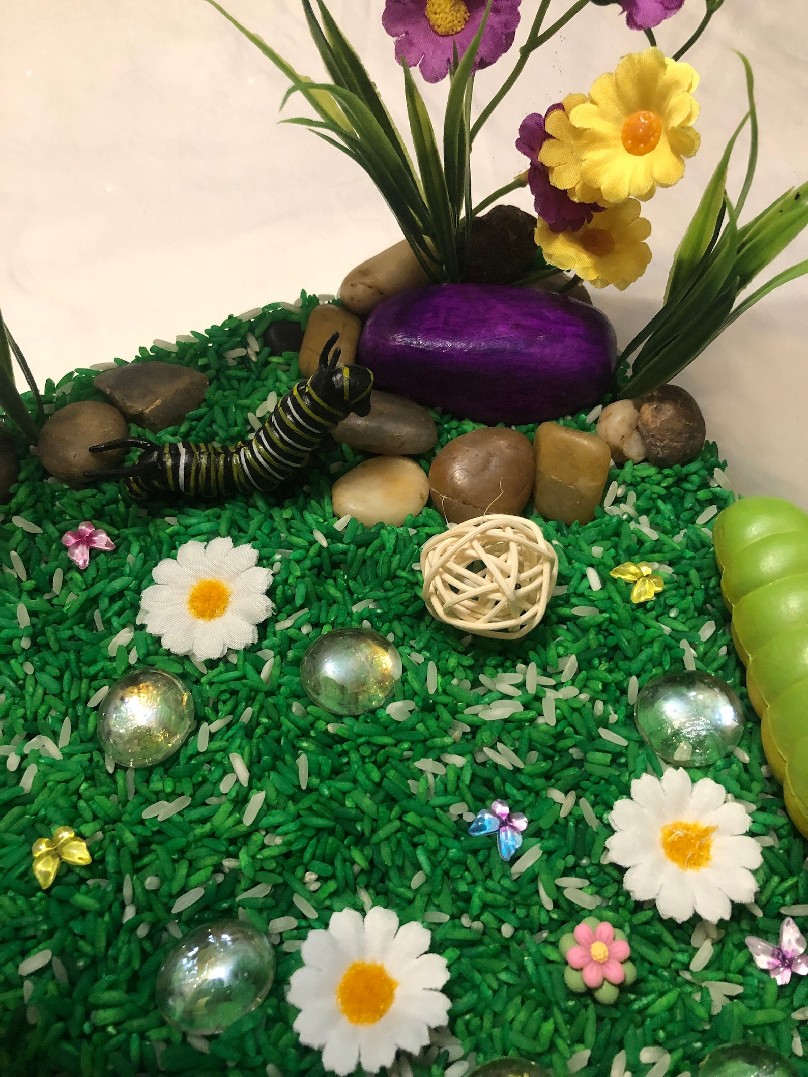 Sensory Kit/sensory Bin/butterfly Life Cycle Sensory Bin/early - Etsy