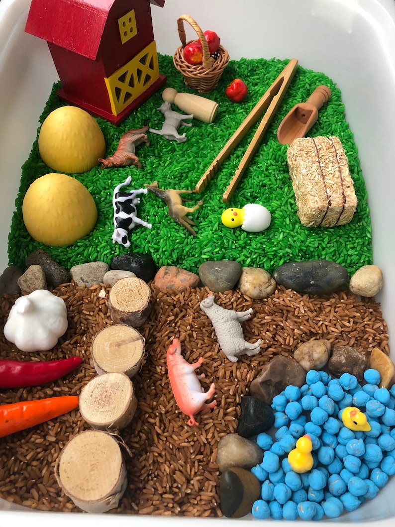 Farm Sensory Bin/farm/montessori/children/animals Sensory/sensory Kit ...