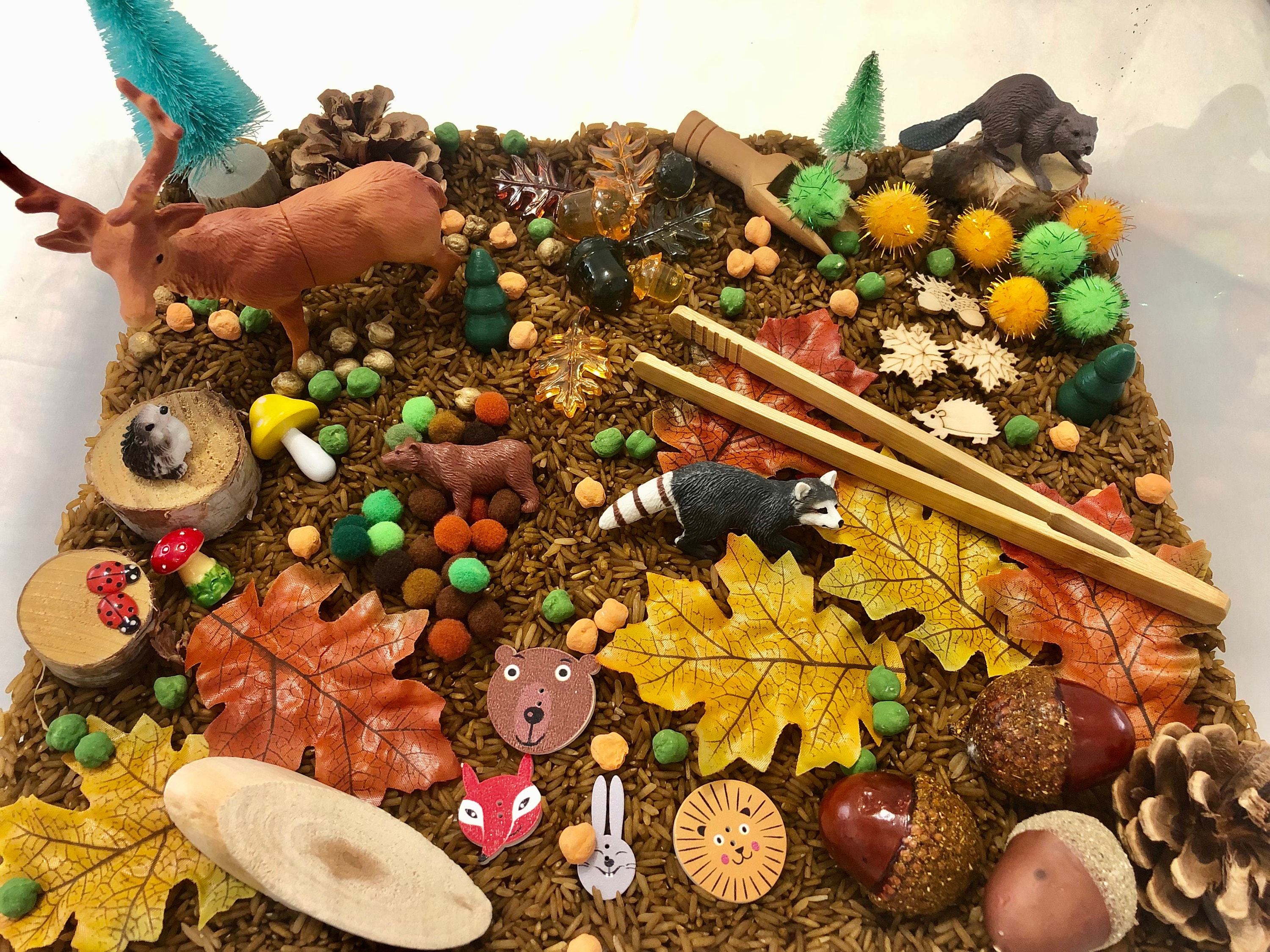 Sensory Kit/fall Sensory Bin/hibernation Animals/forest Animals/sensory ...