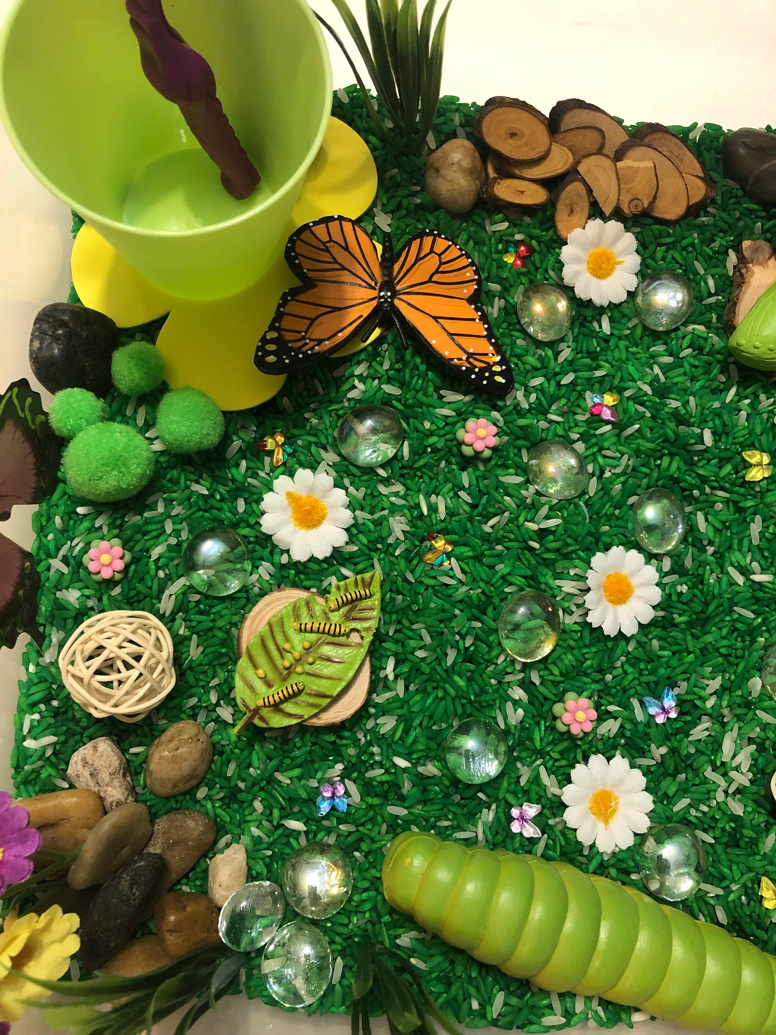 Sensory Kit/sensory Bin/butterfly Life Cycle Sensory Bin/early - Etsy