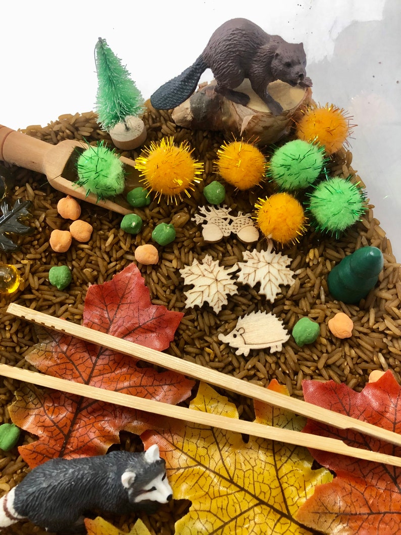 Sensory Kit/fall Sensory Bin/hibernation Animals/forest Animals/sensory ...
