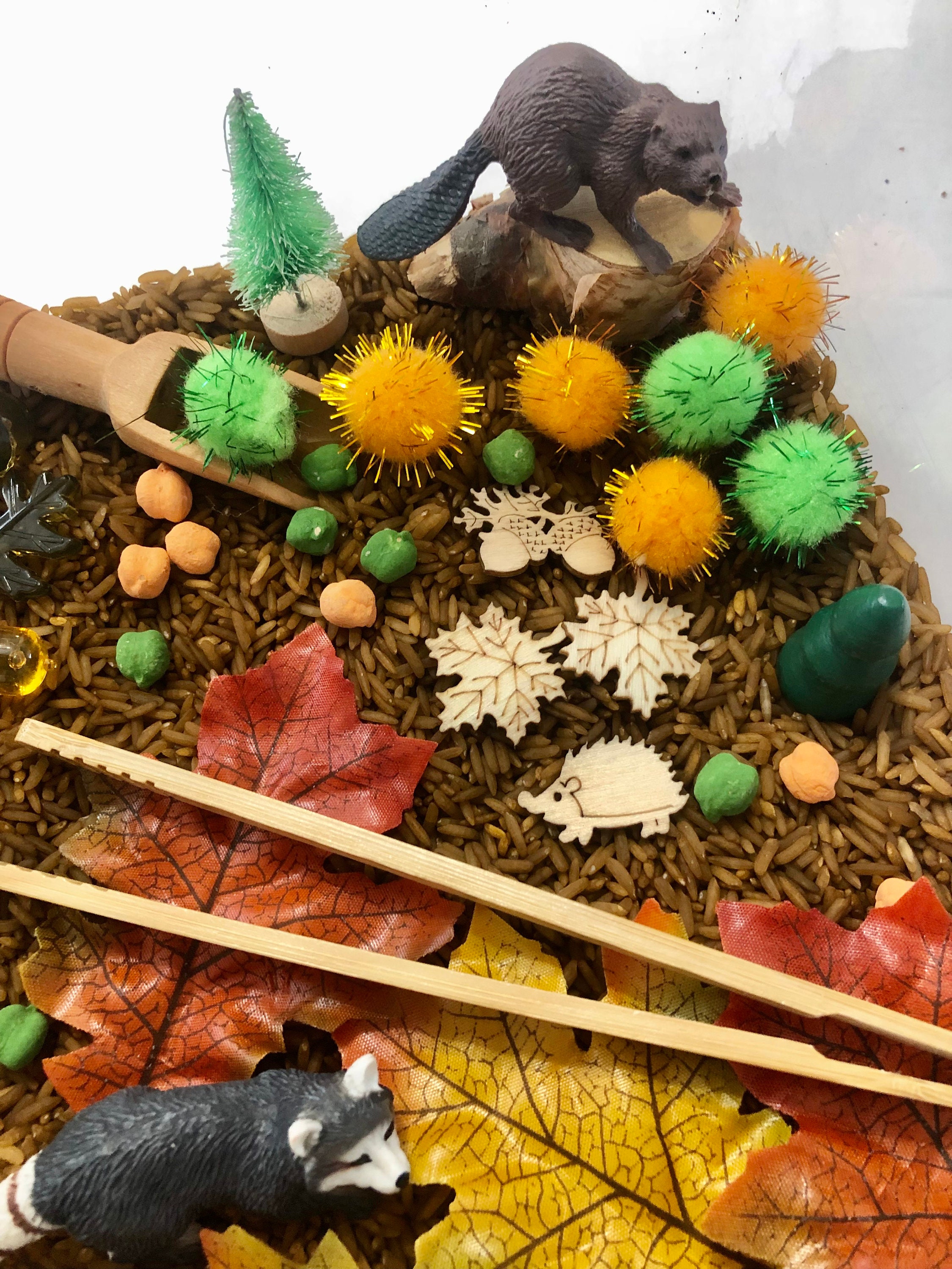 Sensory Kit/fall Sensory Bin/hibernation Animals/forest Animals/sensory ...