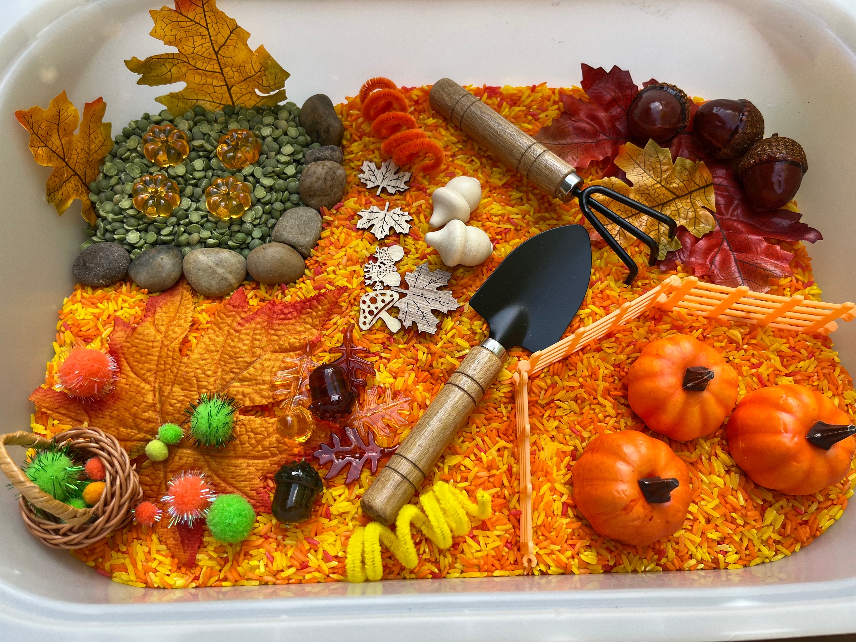 Pumpkin Sensory Bin/fall Sensory Bin/sensory - Etsy Canada