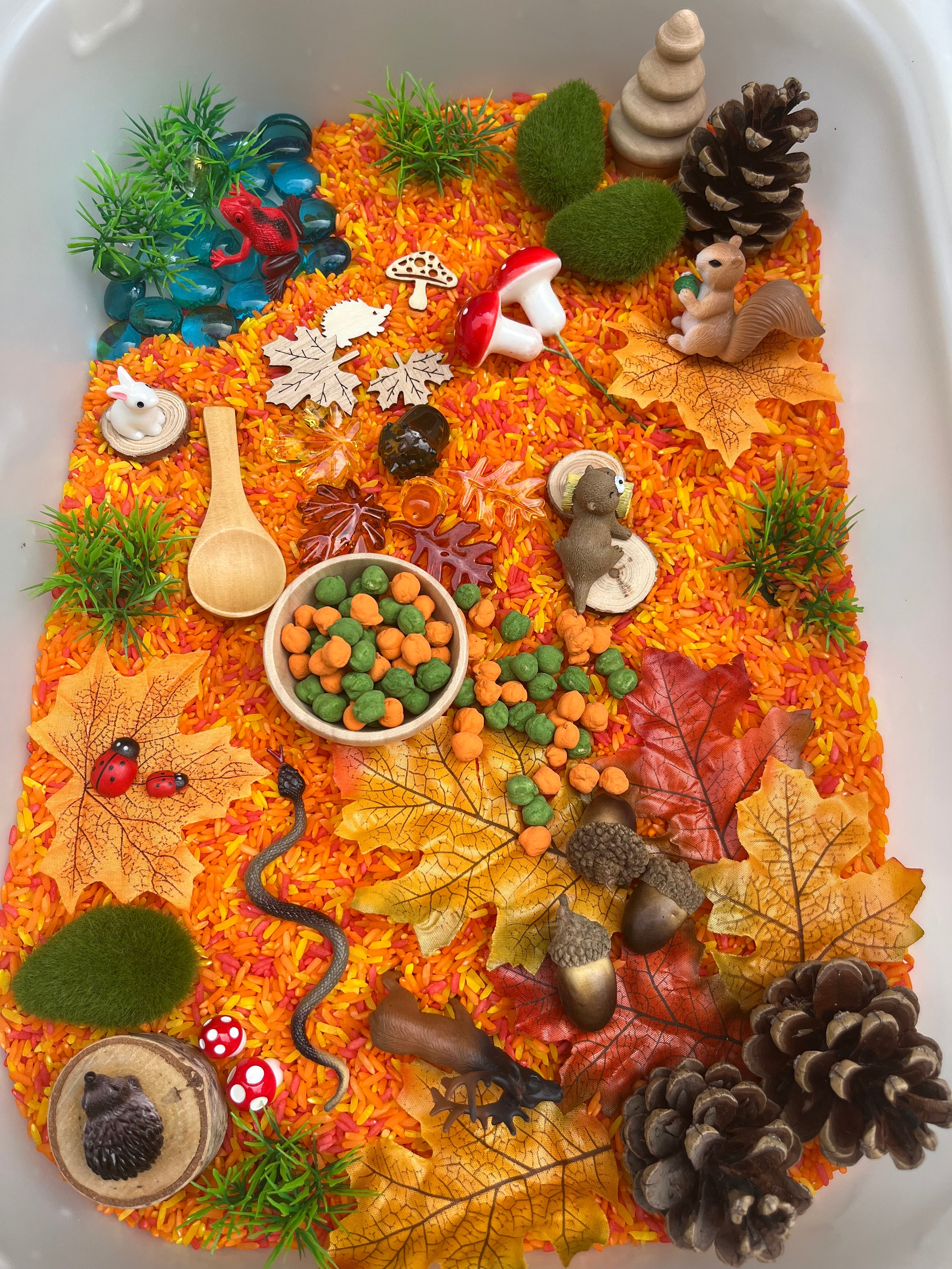 Fall Sensory Bin Forest Sensory Bin Sensory Kit Sensory Bin Sensory
