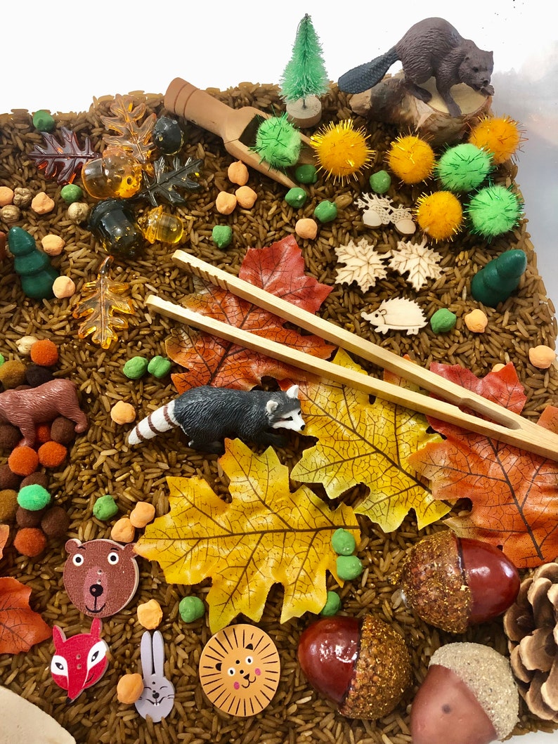 Sensory Kit/fall Sensory Bin/hibernation Animals/forest Animals/sensory ...