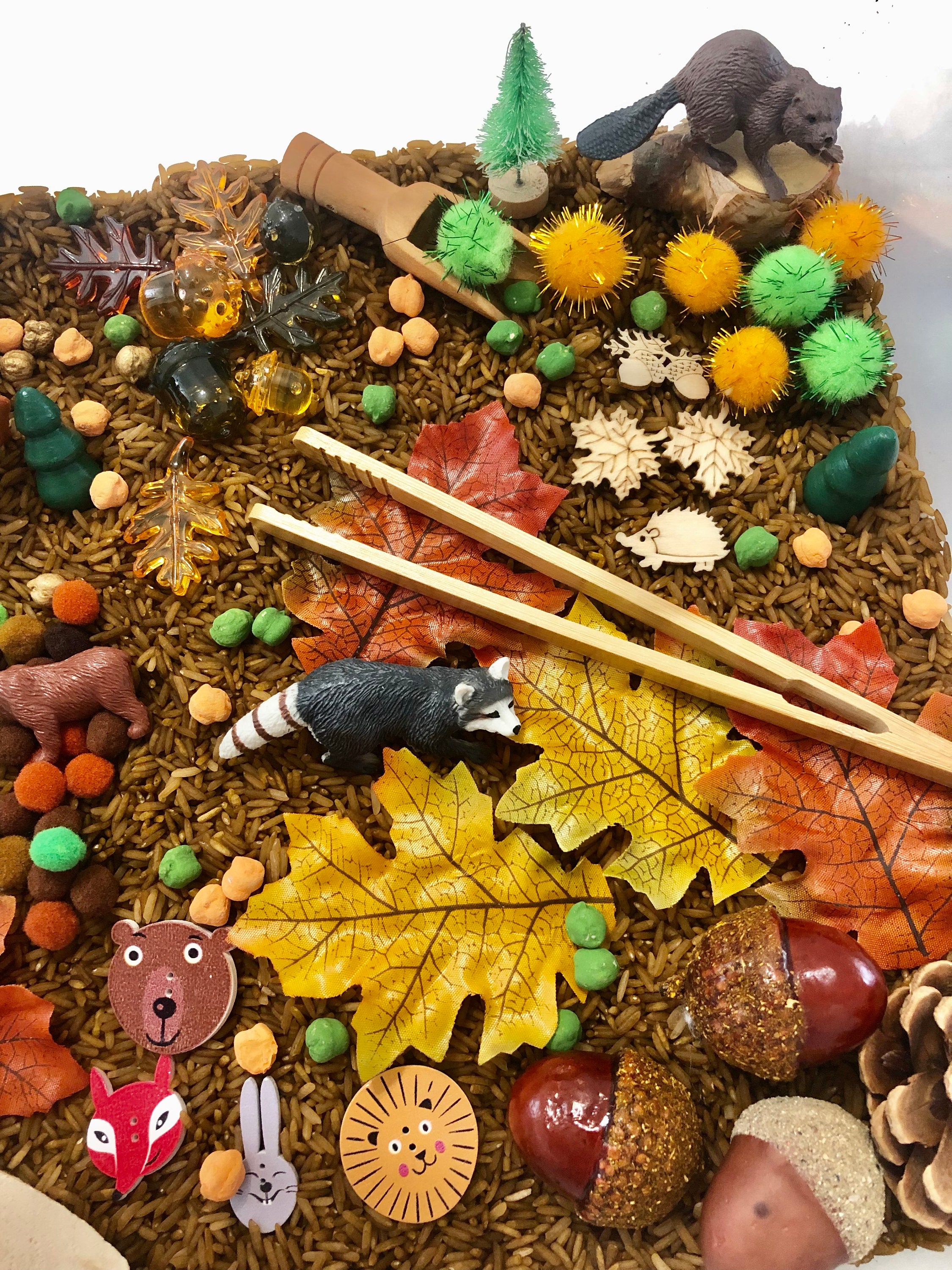 Sensory Kit/fall Sensory Bin/hibernation Animals/forest Animals/sensory ...