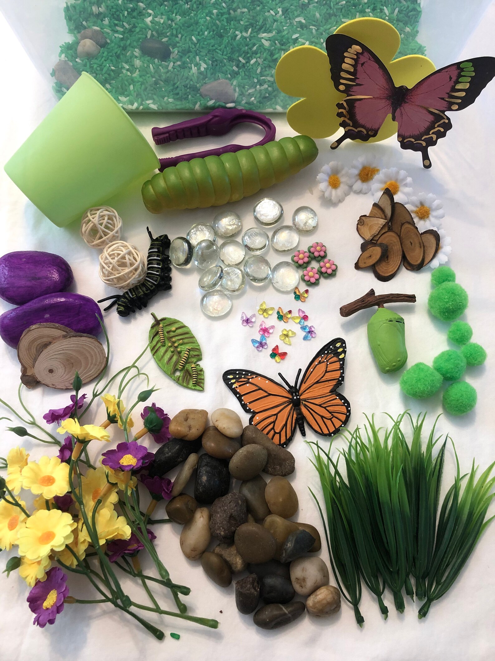 Sensory Kit/sensory Bin/butterfly Life Cycle Sensory Bin/early - Etsy