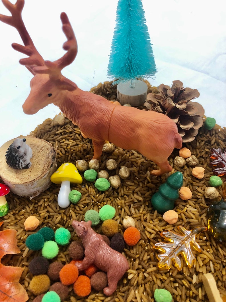 Sensory Kit/fall Sensory Bin/hibernation Animals/forest Animals/sensory ...