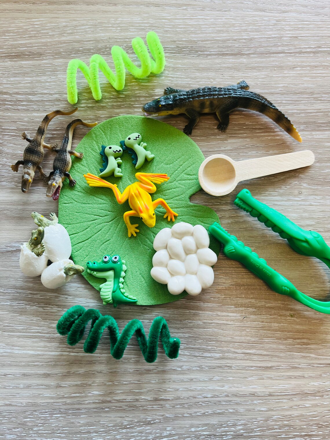 Sensory Kit/sensory Bin/alligator Life Cycle/early Learning/montessori ...