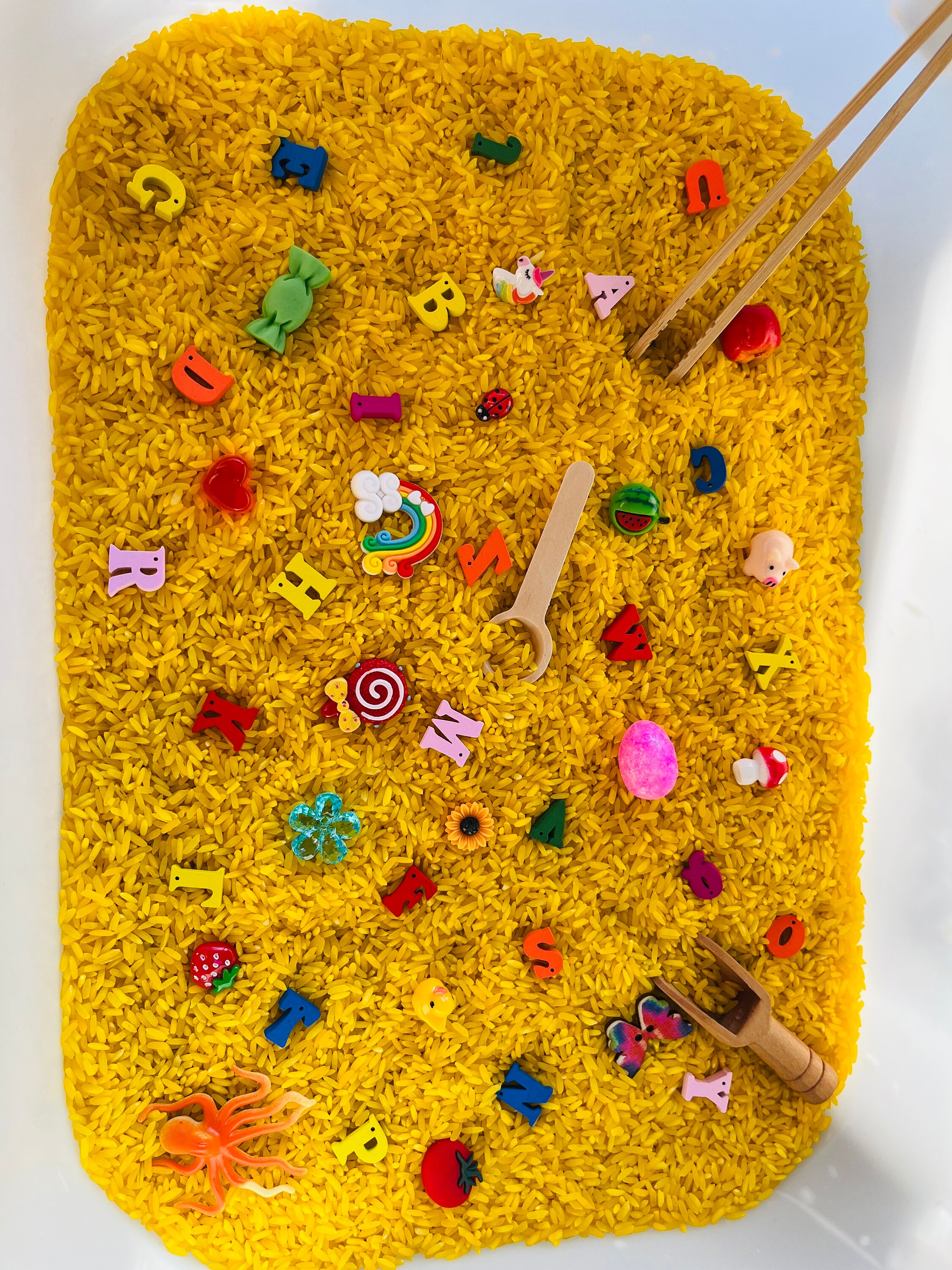 ABC Sensory Bin/montessori/i Know My Abcs/sensory Kit/sensory Box ...