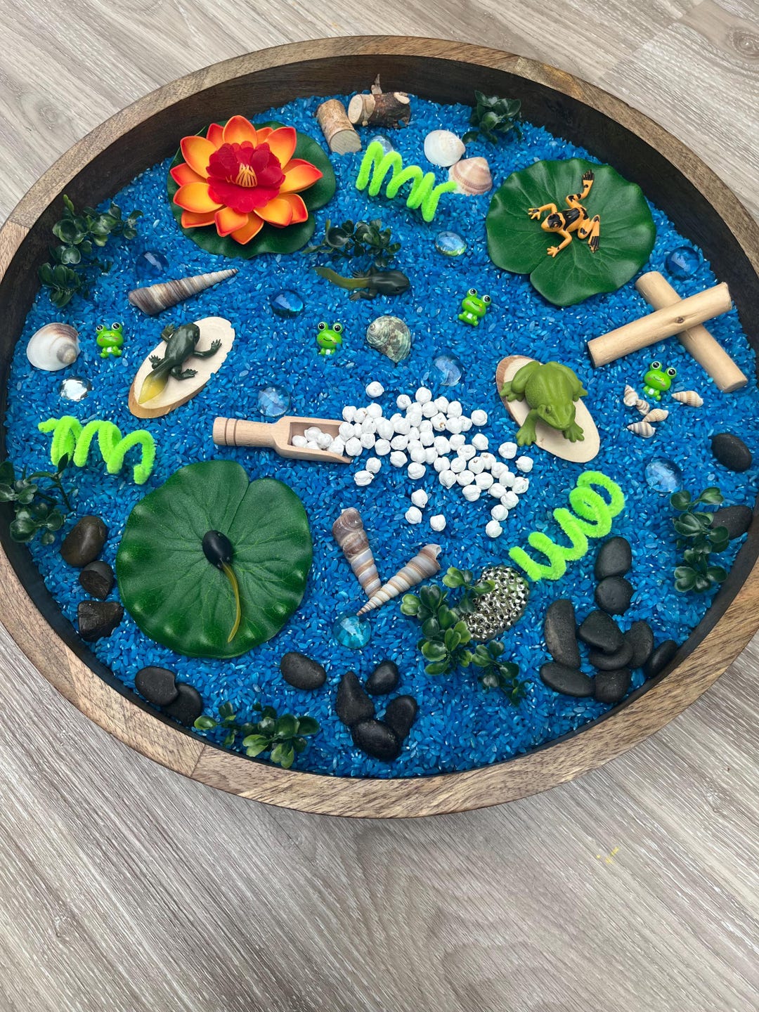 Frog Life Cycle Sensory Bin: Pond Adventure, Fine Motor Skills - Etsy
