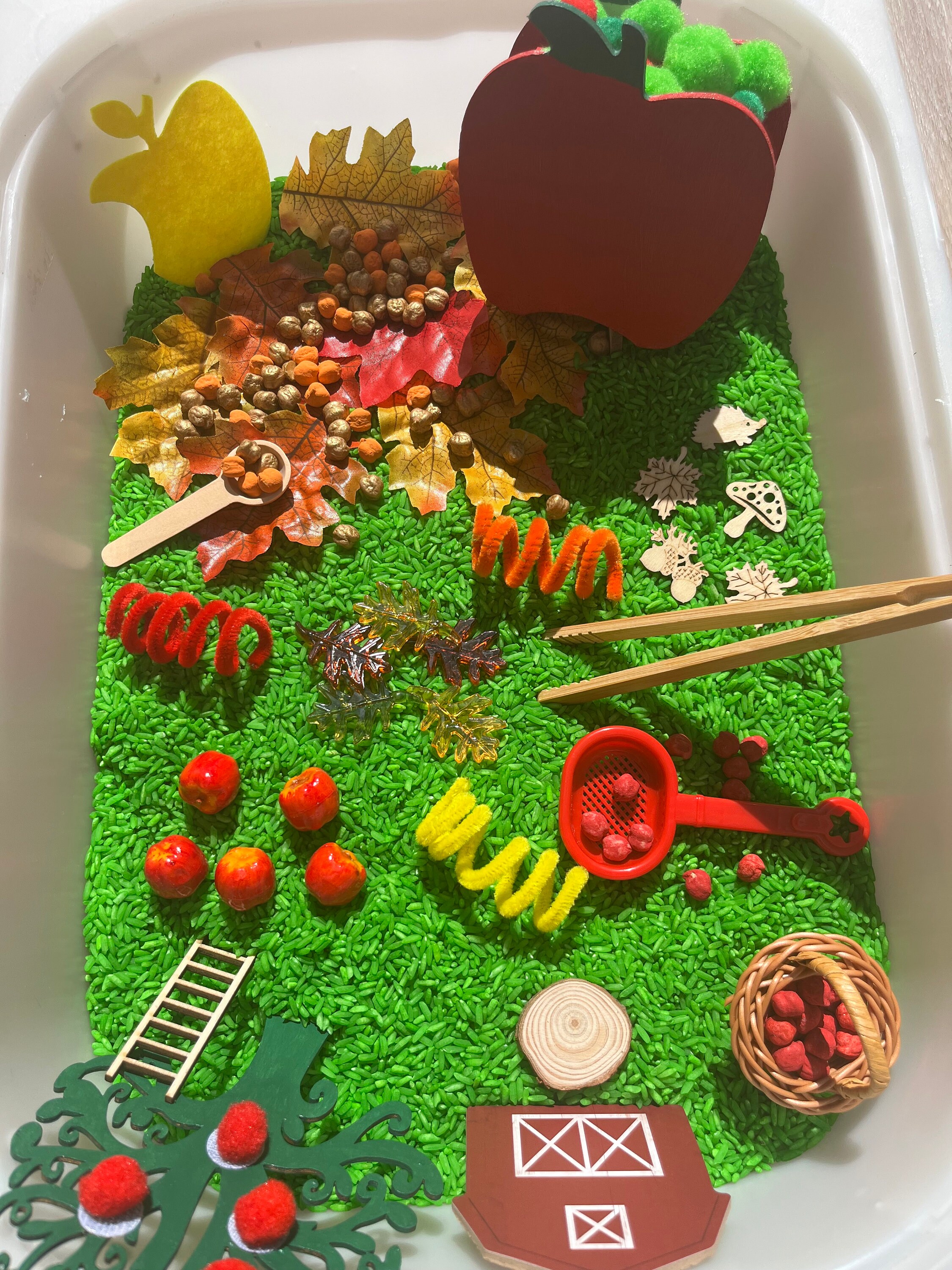 Apple Picking Sensory Bin/sensory Kit/fall Sensory Bin/montessori ...
