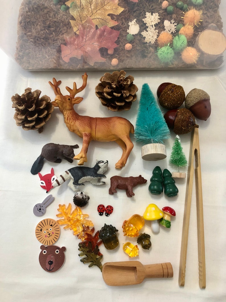 Sensory Kit/fall Sensory Bin/hibernation Animals/forest Animals/sensory ...