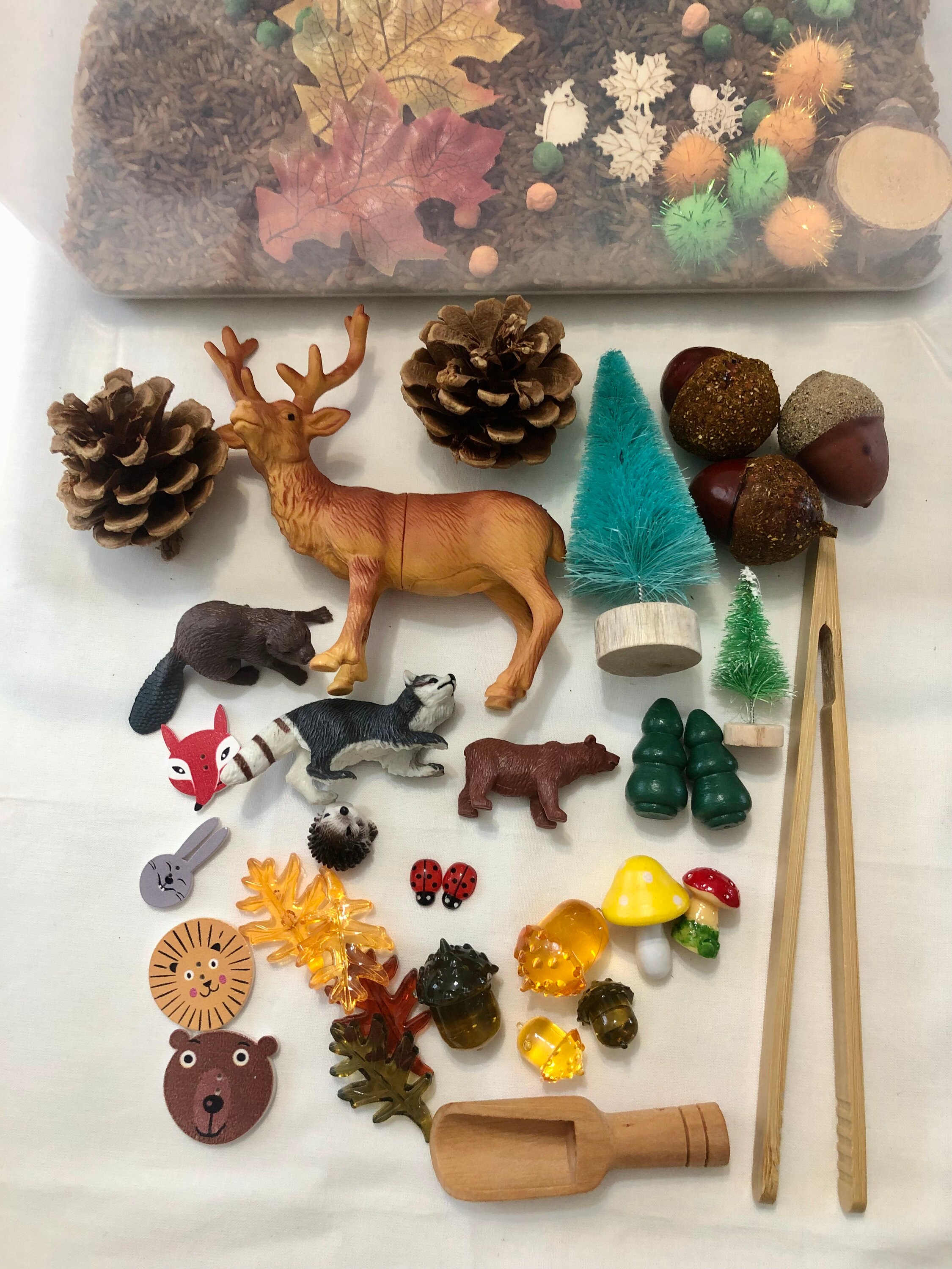 Sensory Kit/fall Sensory Bin/hibernation Animals/forest Animals/sensory ...