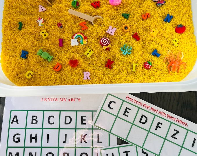 ABC Sensory Bin/montessori/i Know My Abcs/sensory Kit/sensory Box ...