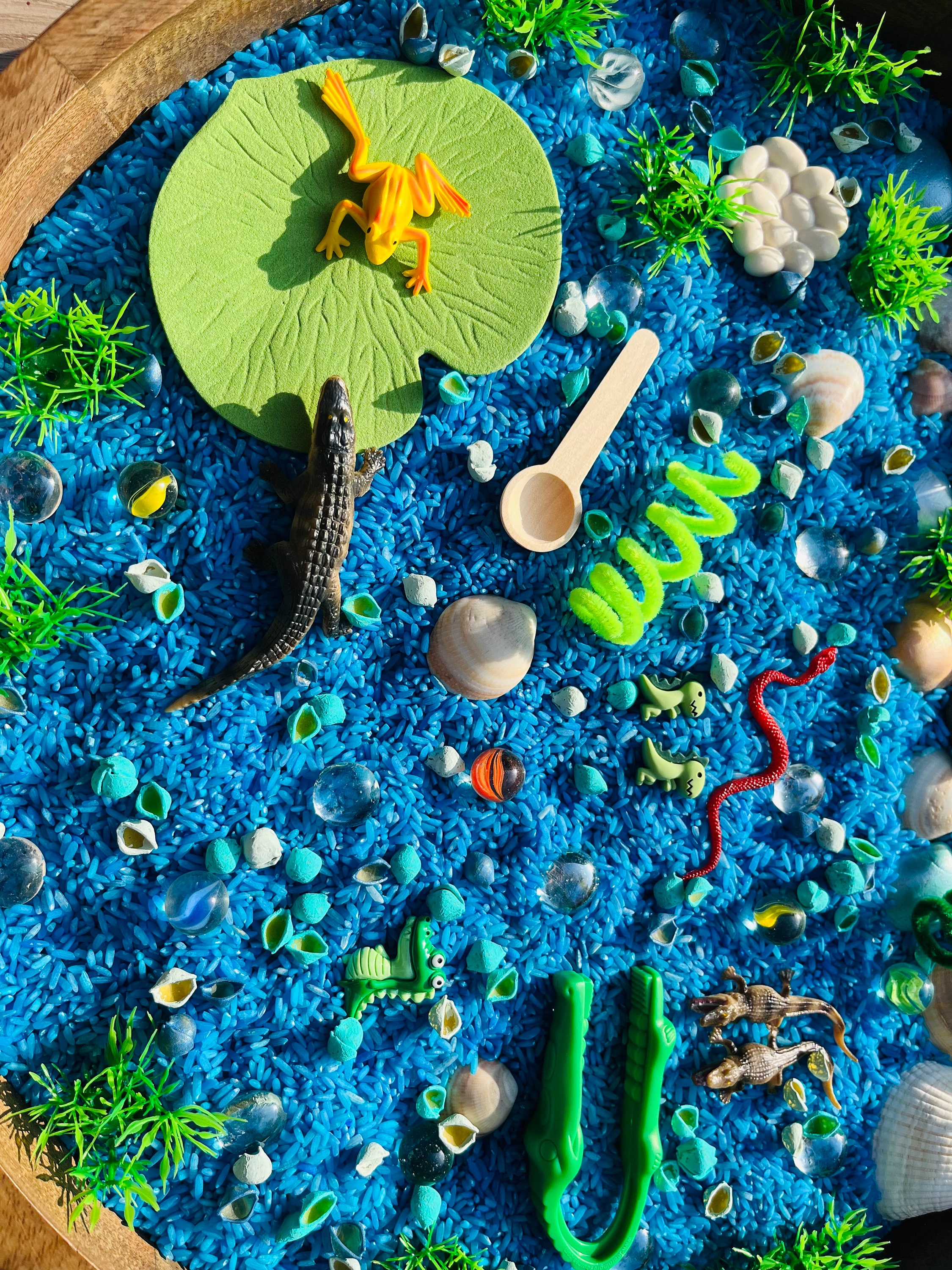 Sensory Kit/sensory Bin/alligator Life Cycle/early Learning/montessori ...