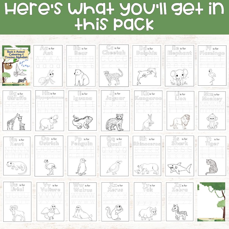 Animal Colouring & Tracing Alphabet Digital Book - Etsy