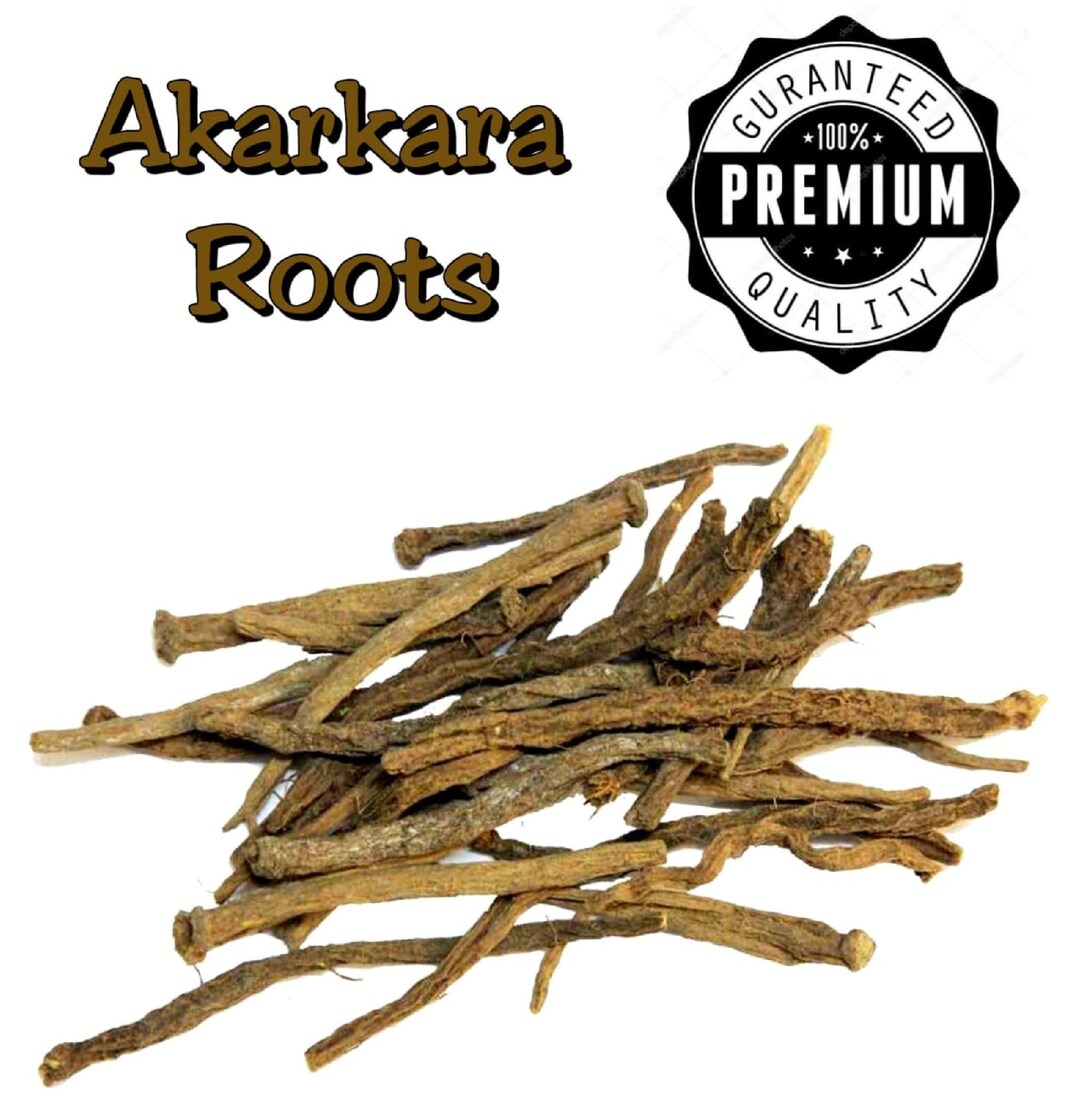 A Akarkara Roots,pellitory Root,anacyclus Pyrethrum,akarkarabh 100% ...