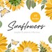 Yellow Floral Clipart Sunflowers Digital Download Boho Summer - Etsy