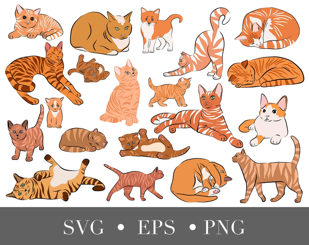 Orange Cat SVG and PNG Clipart Collection Digital Download and ...