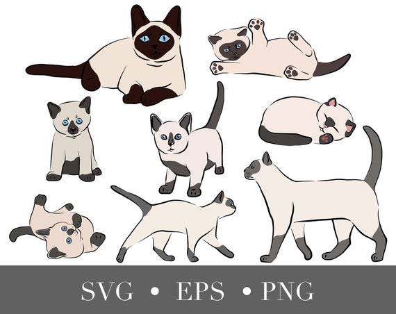 Siamese Cat Svg Clipart Collections Digital Download And Etsy