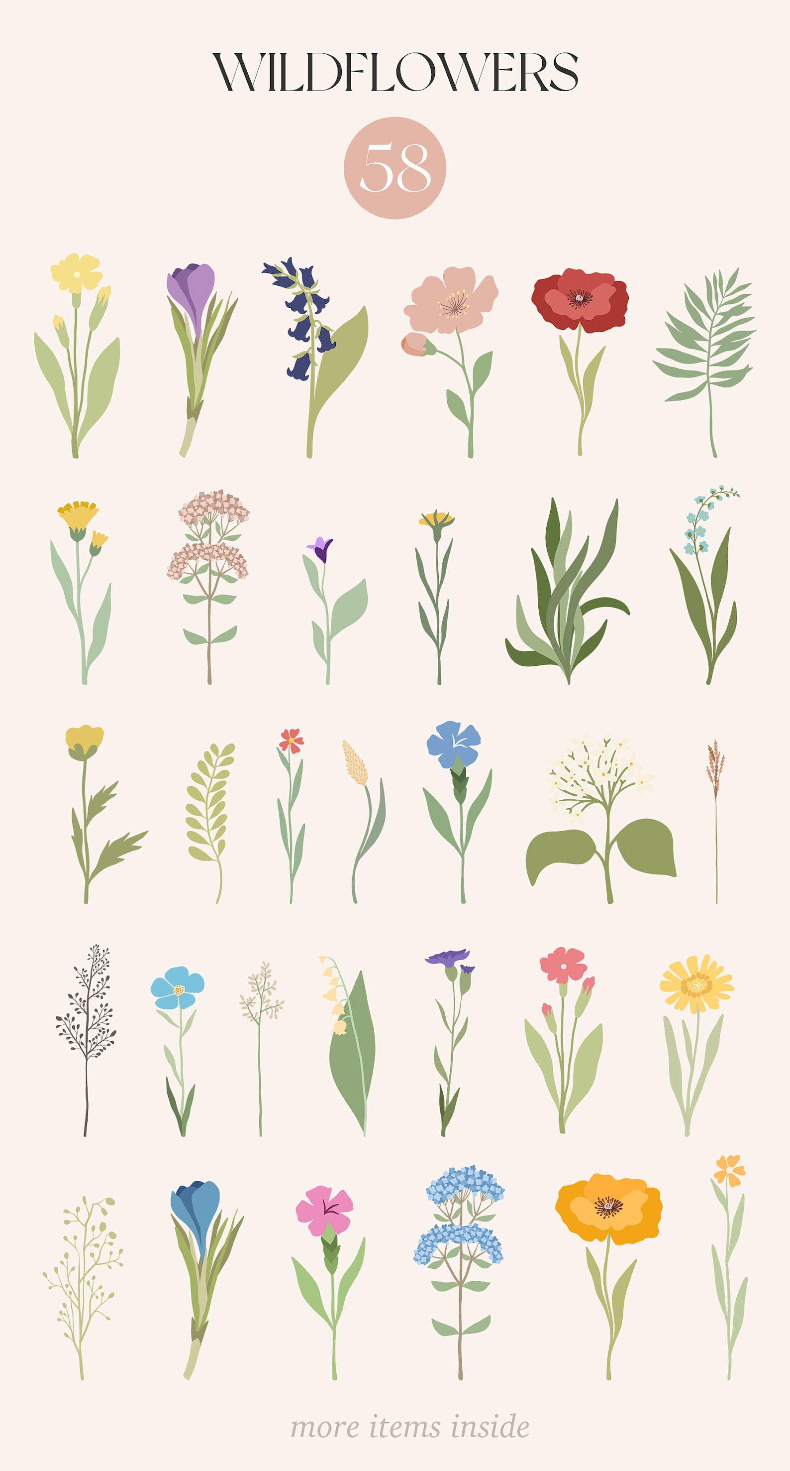 Floral Spring Clipart Collection With Wild Flowers Digital Download ...