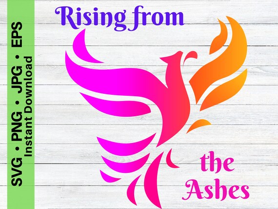 Phoenix Rising PNG Phoenix Bird PNG Phoenix Bird Clipart - Etsy
