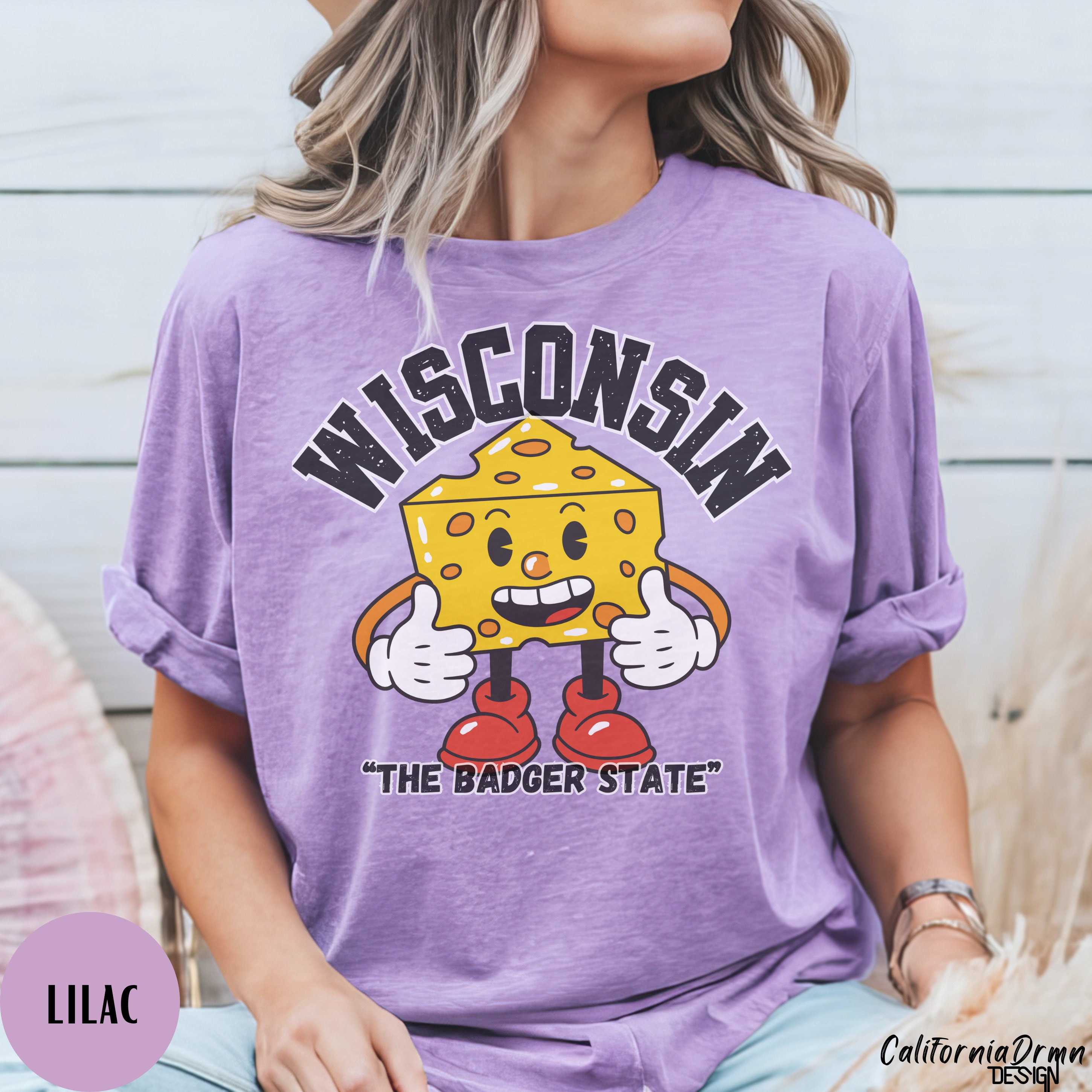 Comfort Colors Wisconsin T-shirt, Unisex Retro Vintage Tees, State ...