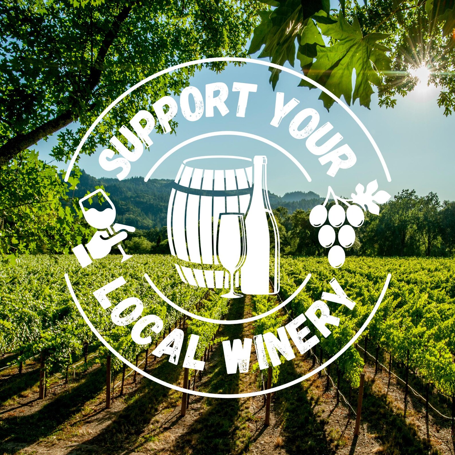 Support Your Local Winery Svg, Vineyard Wine Tasting Svg, Wine Country ...