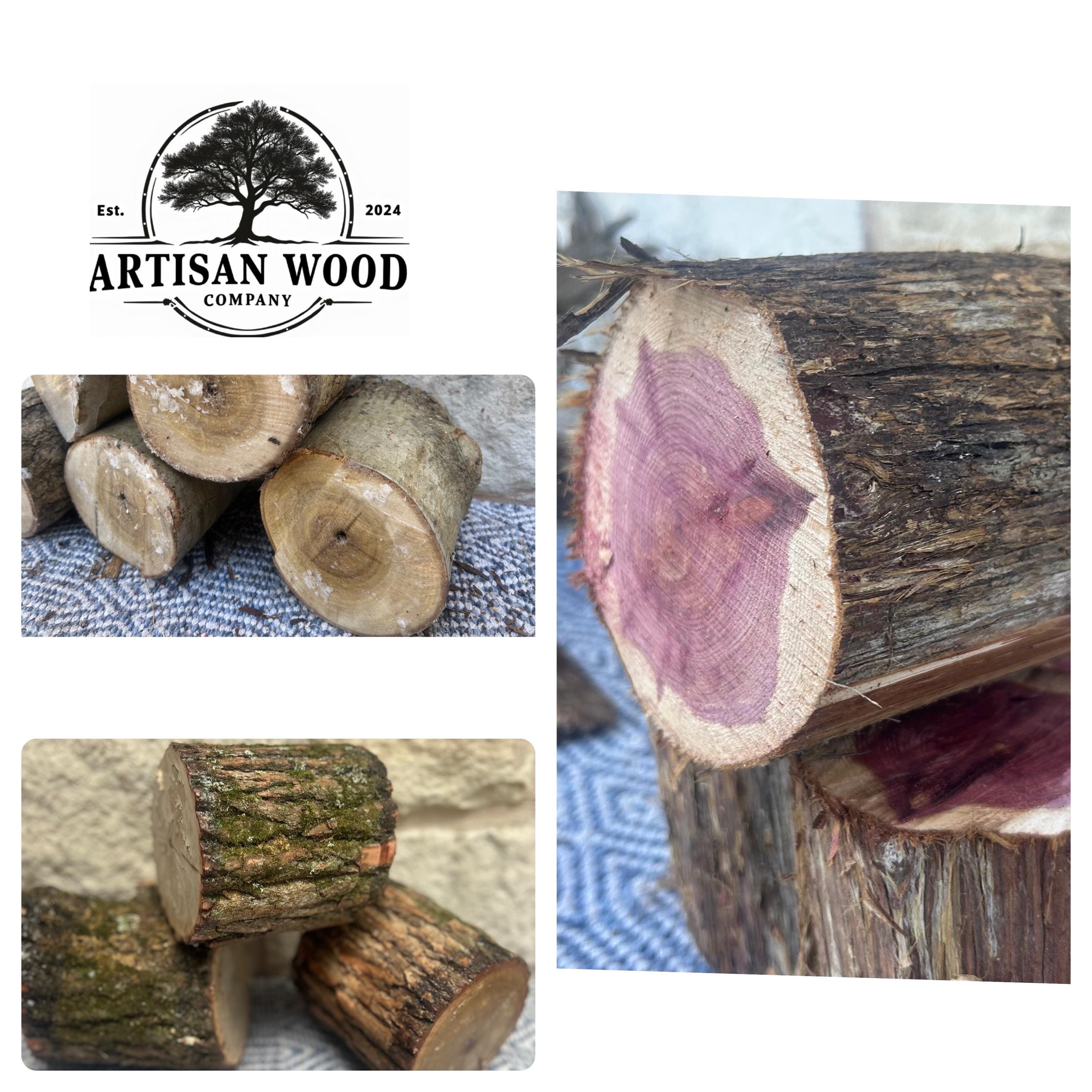 Unique Wood Log Set Sassafras, Eastern Red Cedar, Umbrella Magnolia ...