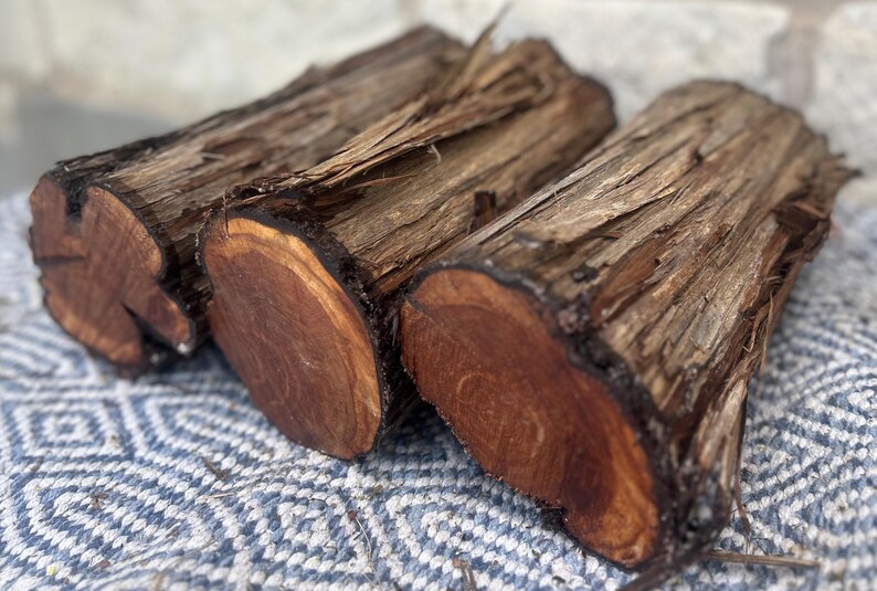 Premium Trio of Green Wood Carving Logs Ash Juniper, Box Elder ...