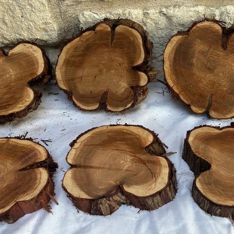 Rustic Wood Slices - Etsy
