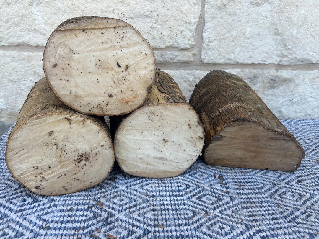 Premium Sycamore Wood Logs for Carving & Decor 6-8x6, Wax-dipped Ends ...