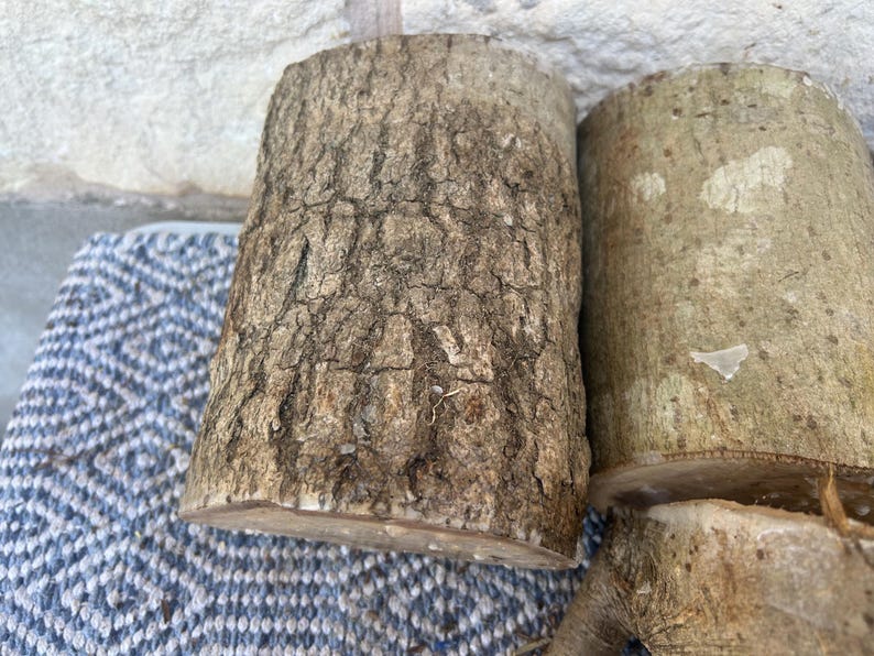 Premium Trio of Green Wood Carving Logs Ash Juniper, Box Elder ...