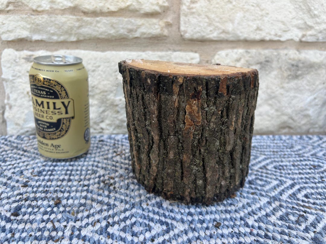 Rustic Green Elm Logs for Carving, Crafting, and Decor (5.5 High, 5.5 ...