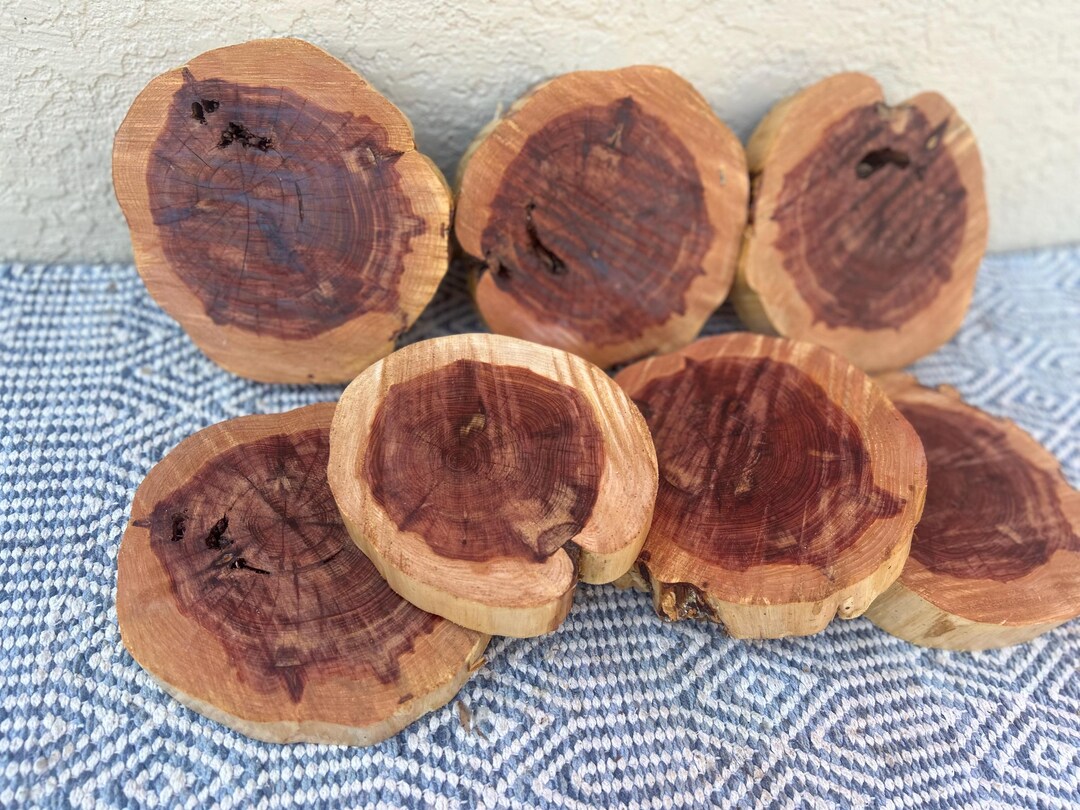 Unique Shellacked Eastern Red Cedar Slices – Rustic Elegance for Home ...