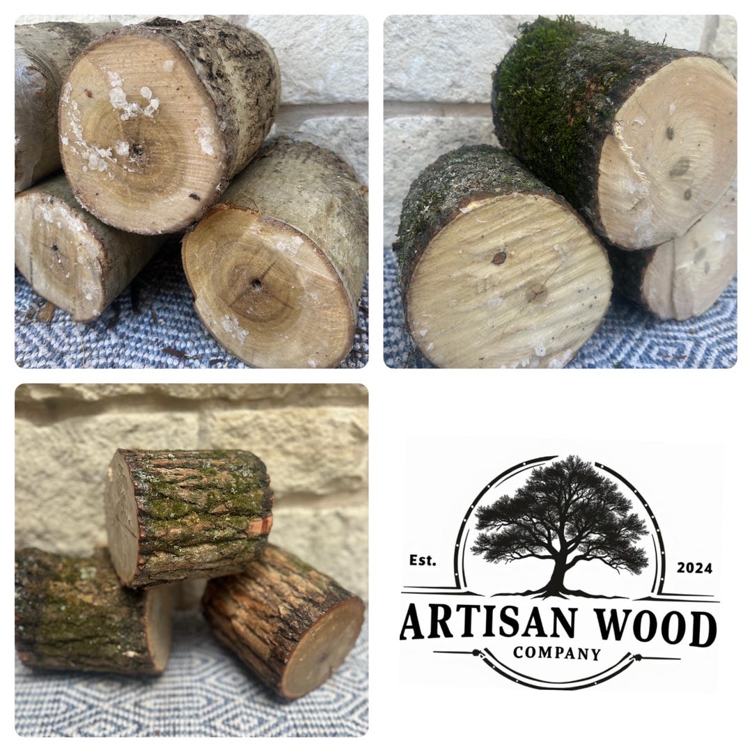 Carve Your Way to Fun Trio of Green Wood Logs Perfect for Rustic ...